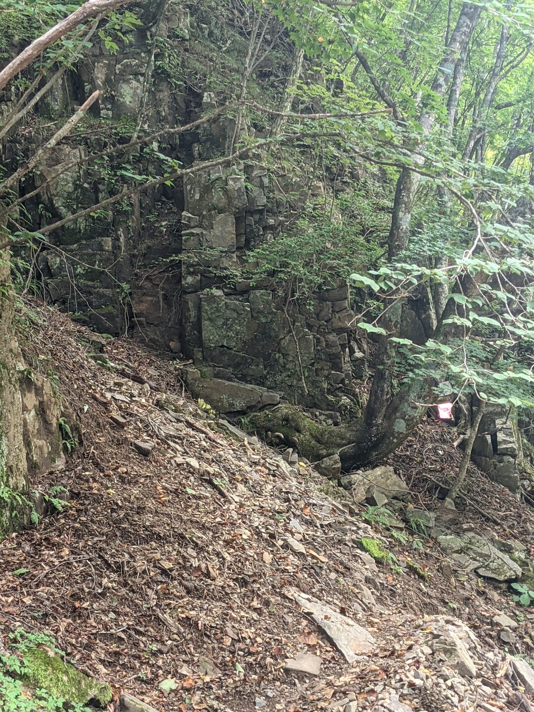 Okamonさんの投稿したフィールドメモ | YAMAP / ヤマップ