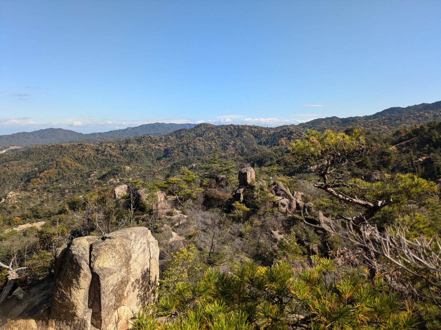 堂山 / Tama Yuriさんの湖南アルプス（太神山・堂山）の活動データ | YAMAP / ヤマップ