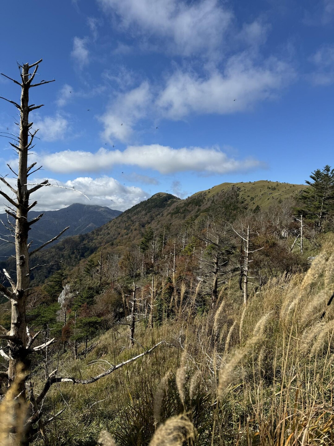 塔丸 / Leeさんの剣山の活動データ | YAMAP / ヤマップ