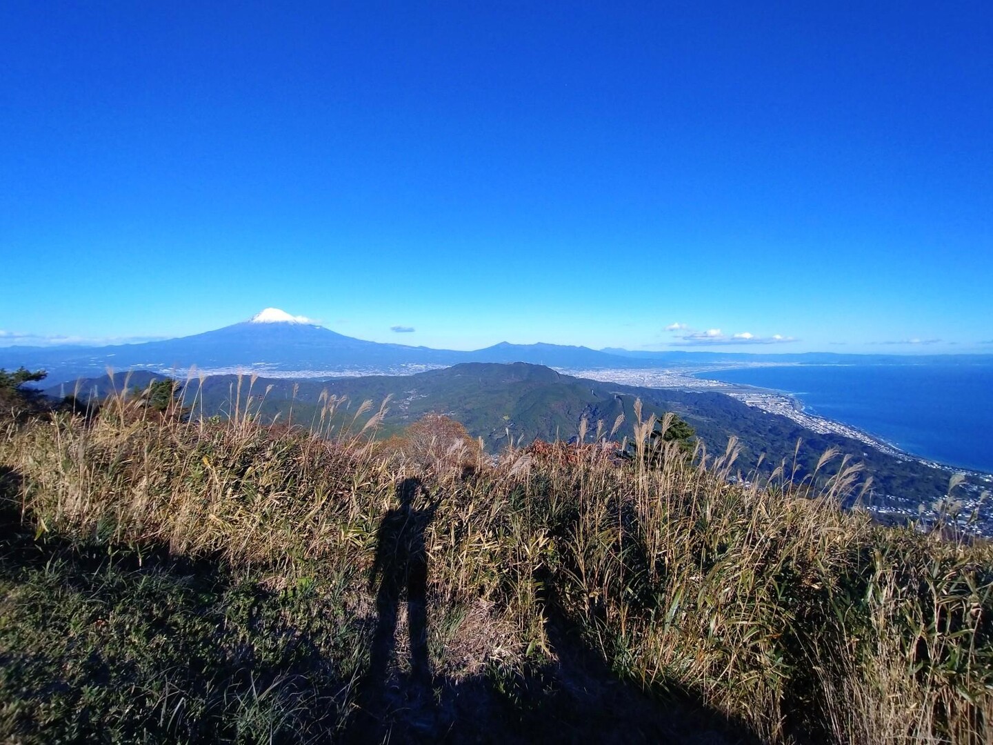 浜石岳 / moneさんのウォーキングの活動データ | YAMAP / ヤマップ