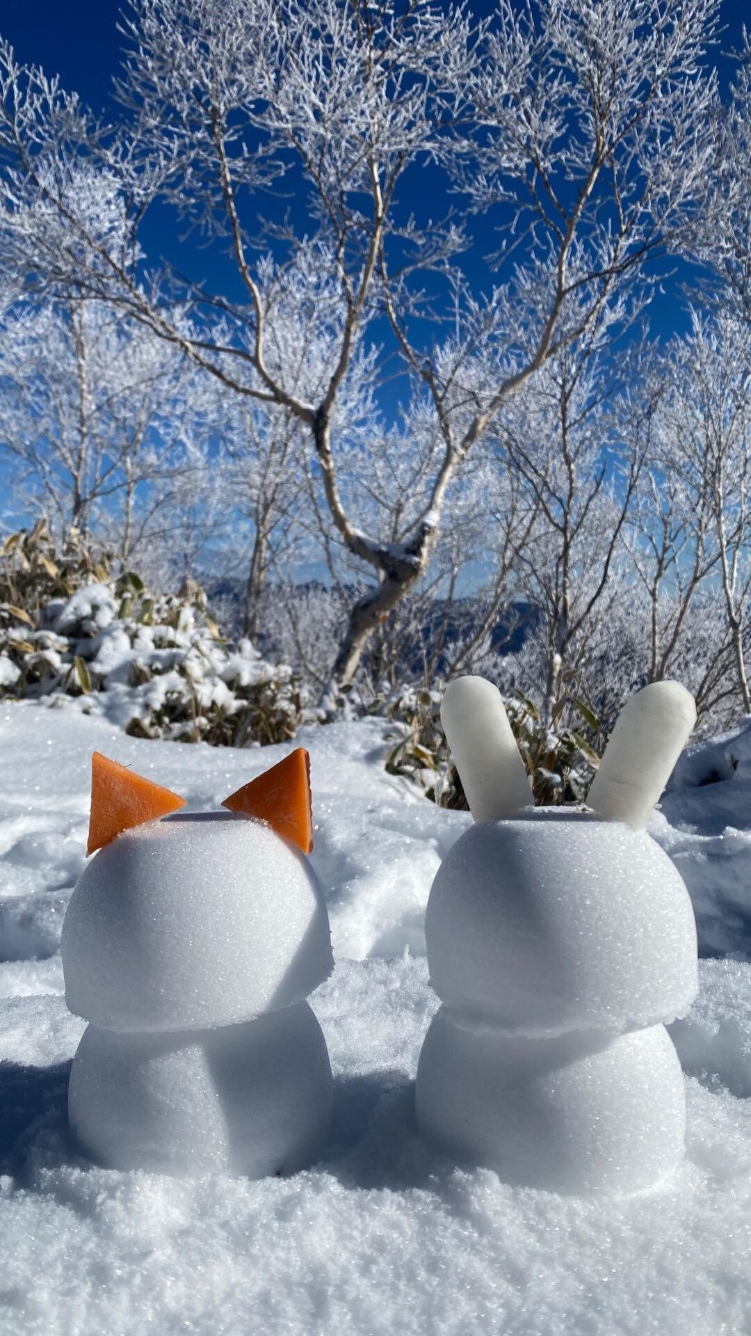 地蔵岳・黒檜山（赤城山）・駒ヶ岳 / Mariさんの平ヶ岳・台倉山・池ノ岳の活動データ | YAMAP / ヤマップ