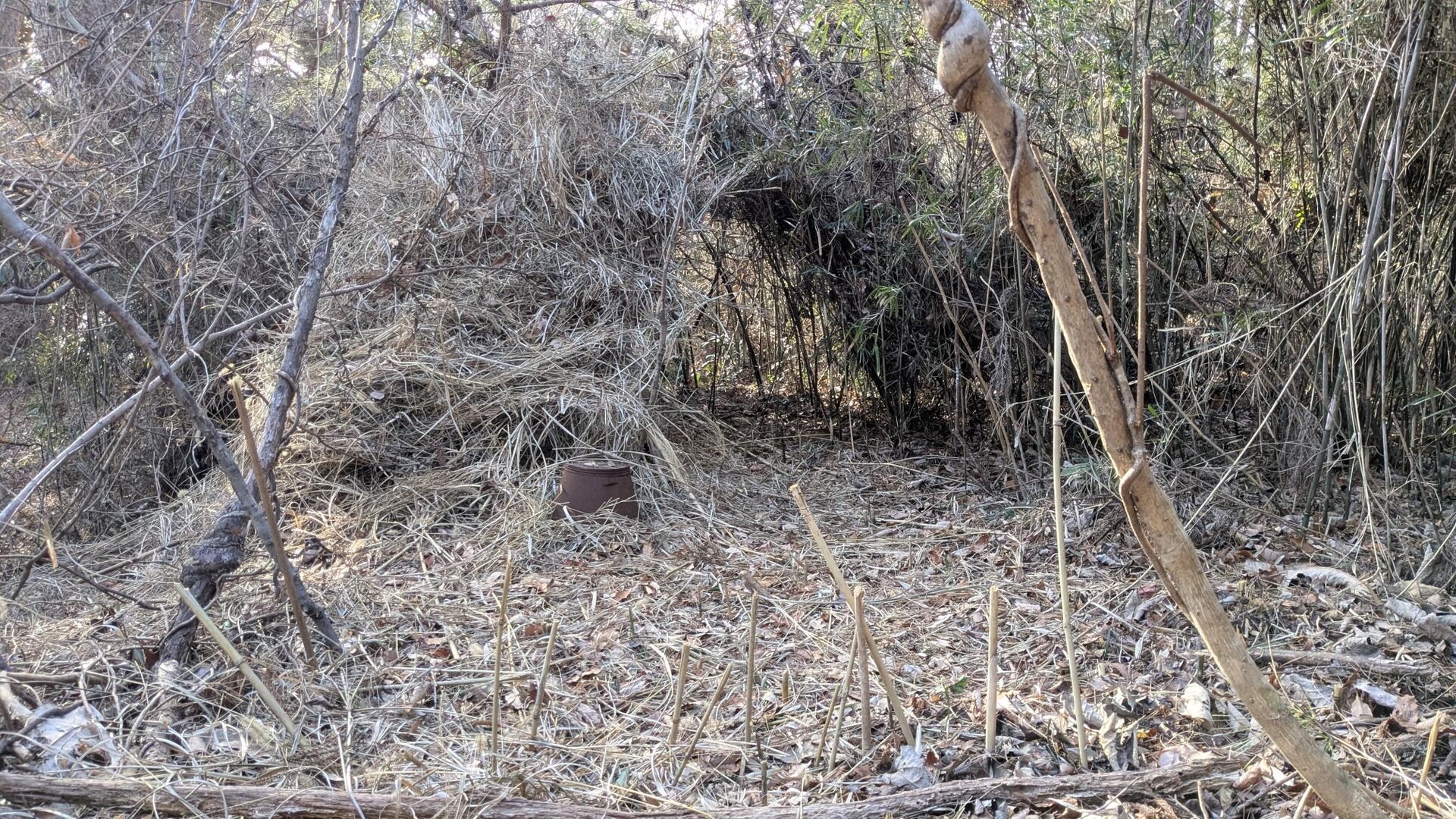 個人的メモ。 大田原市の常盤ヶ丘の頂上で... / kkr173さんのモーメント | YAMAP / ヤマップ
