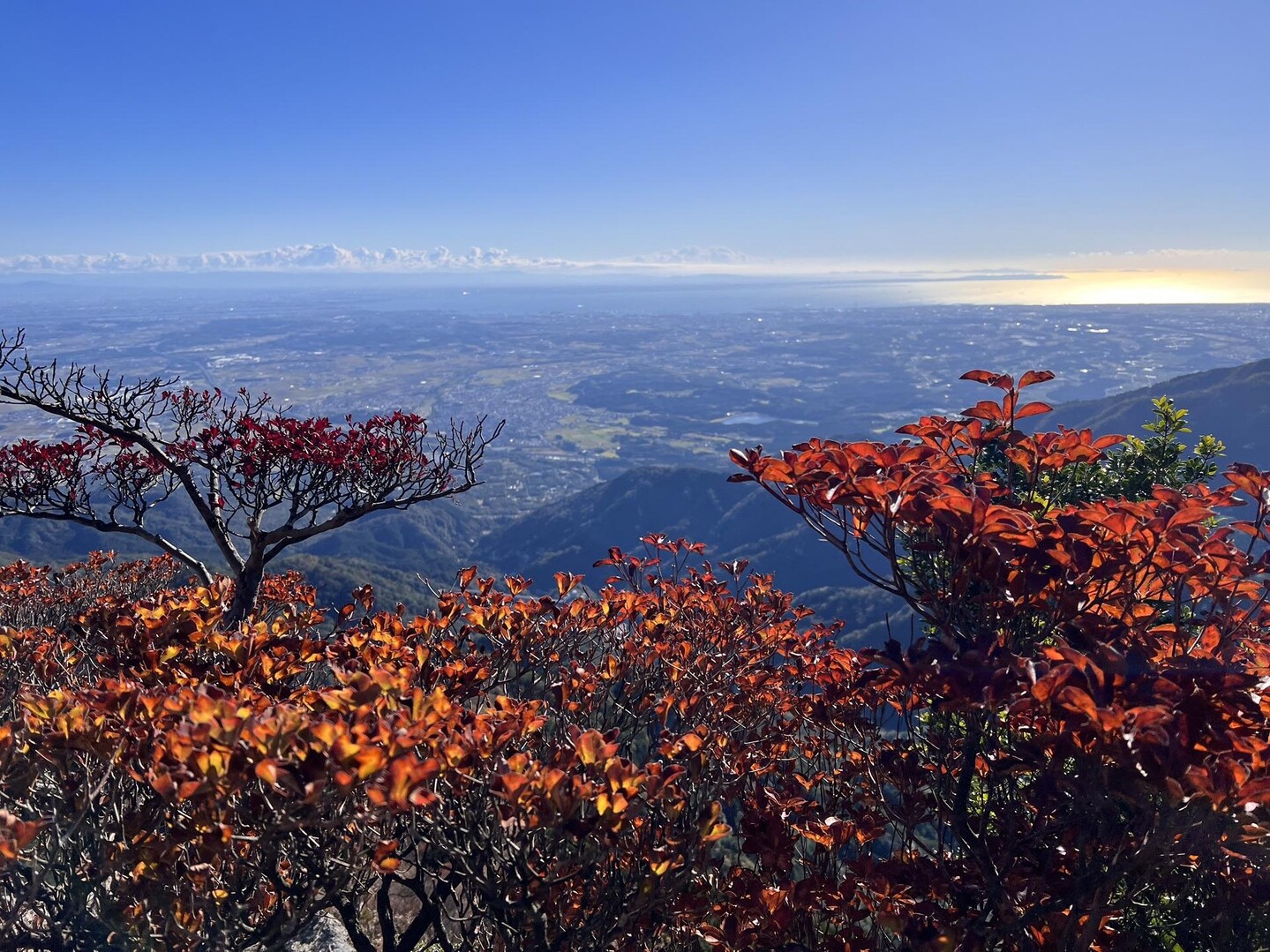 1年ぶり登山復帰は御在所岳から / yosshyさんの御在所岳（御在所山）・雨乞岳の活動データ | YAMAP / ヤマップ