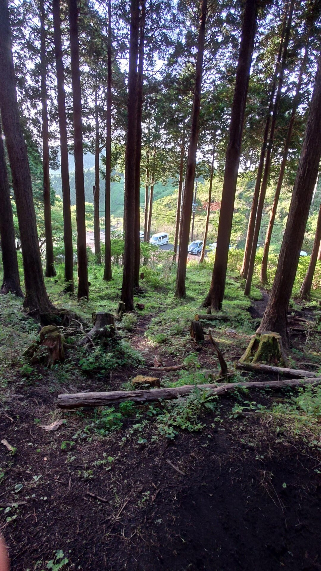 ヤビツ峠から塔ノ岳 / hem2さんの大山の活動データ | YAMAP / ヤマップ