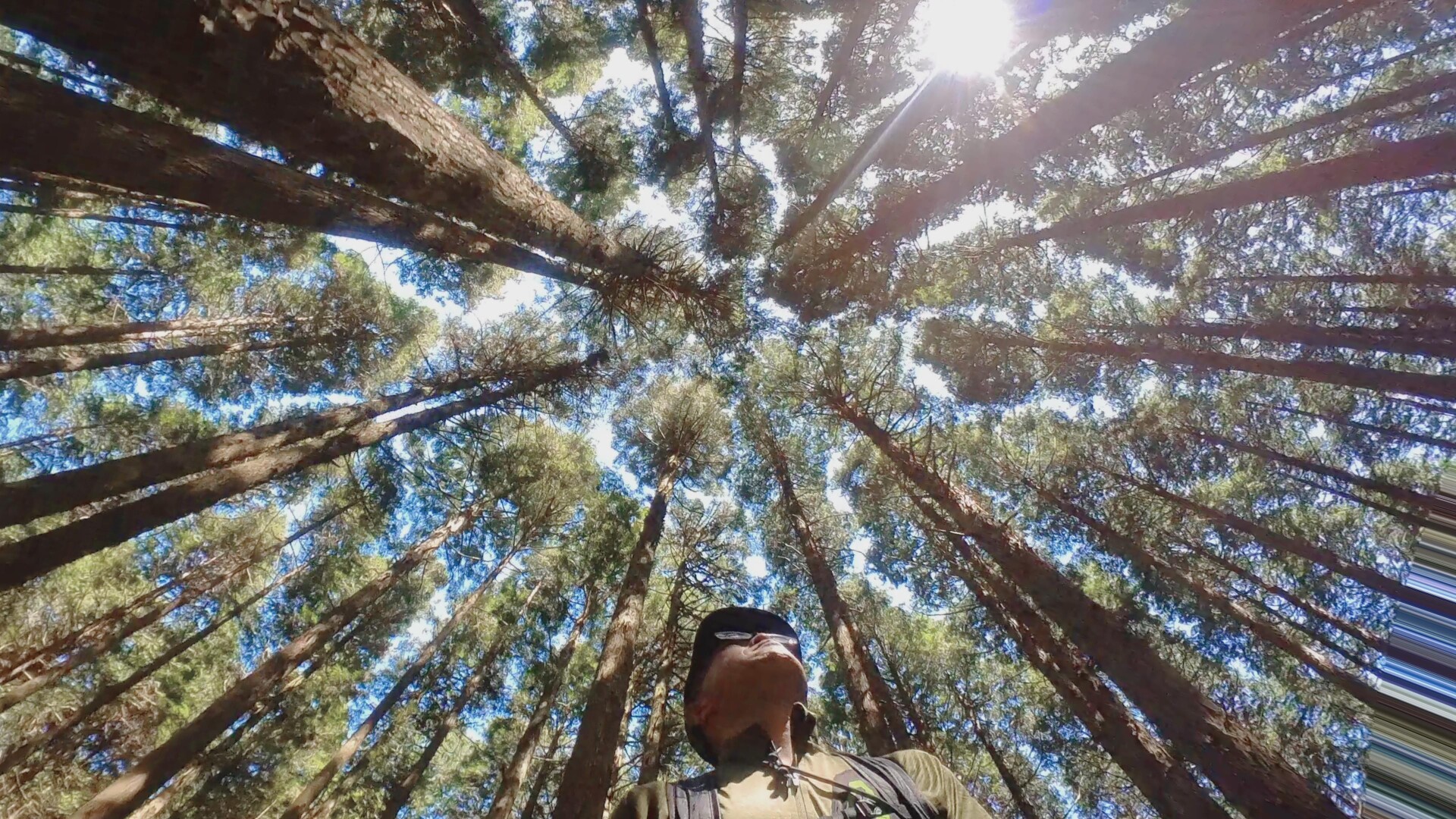 翔ける！ダイトレ ＃3（葛城山～金剛山～千早峠） / Koji.Hさんの金剛山・二上山・大和葛城山の活動データ | YAMAP / ヤマップ