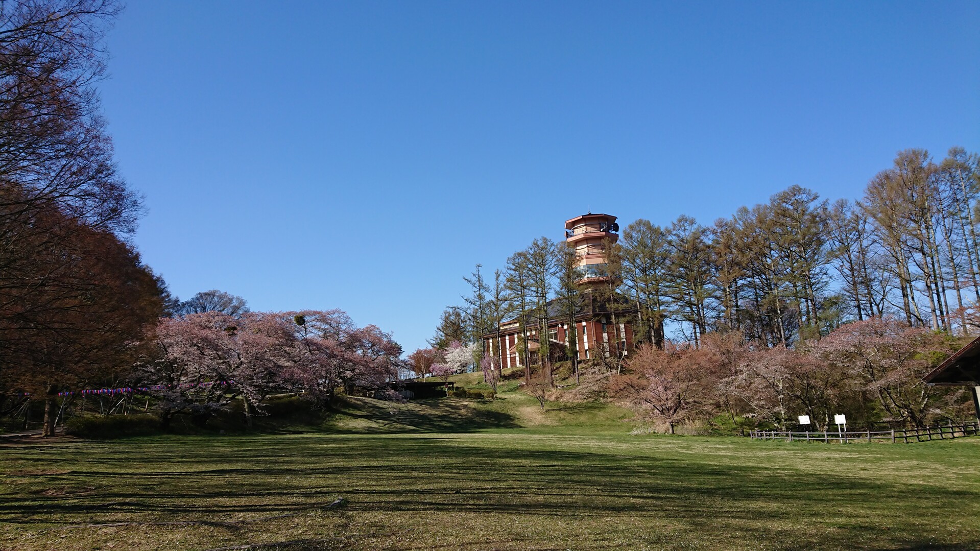 1週間前に行った、松本アルプス公園のモル... / marinさんのモーメント | YAMAP / ヤマップ