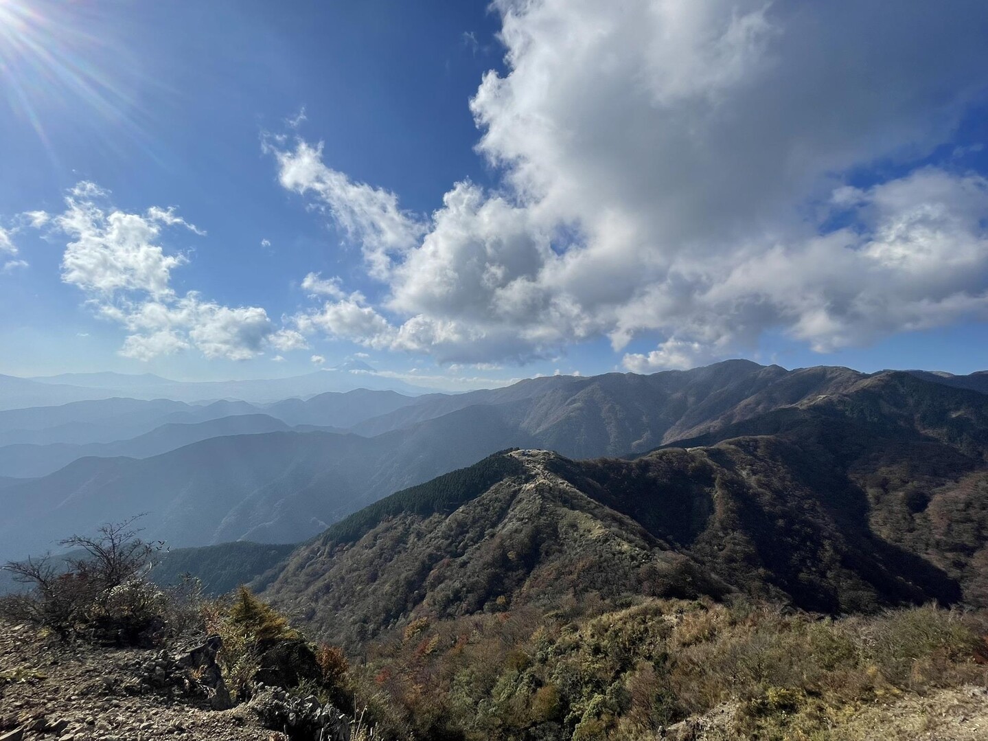 丹沢縦走トレラン / MITさんの塔ノ岳・丹沢山・蛭ヶ岳の活動データ | YAMAP / ヤマップ