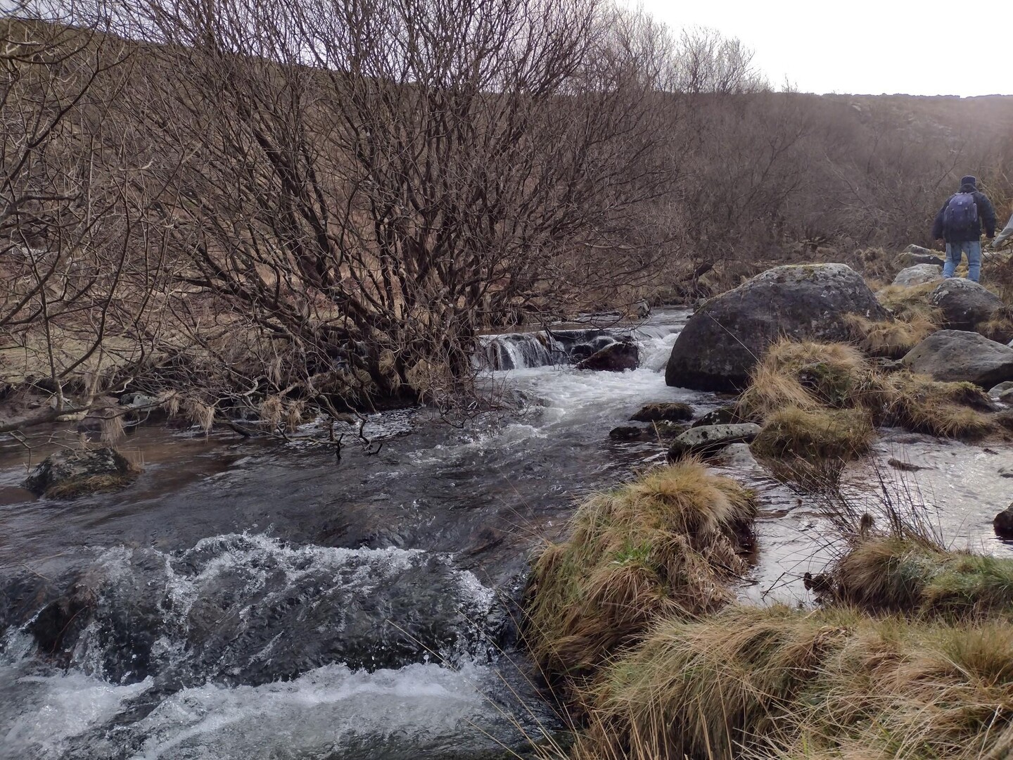 Dartmoor Hike from Belstone (UK) / Andrewさんのウォーキングの活動データ | YAMAP / ヤマップ