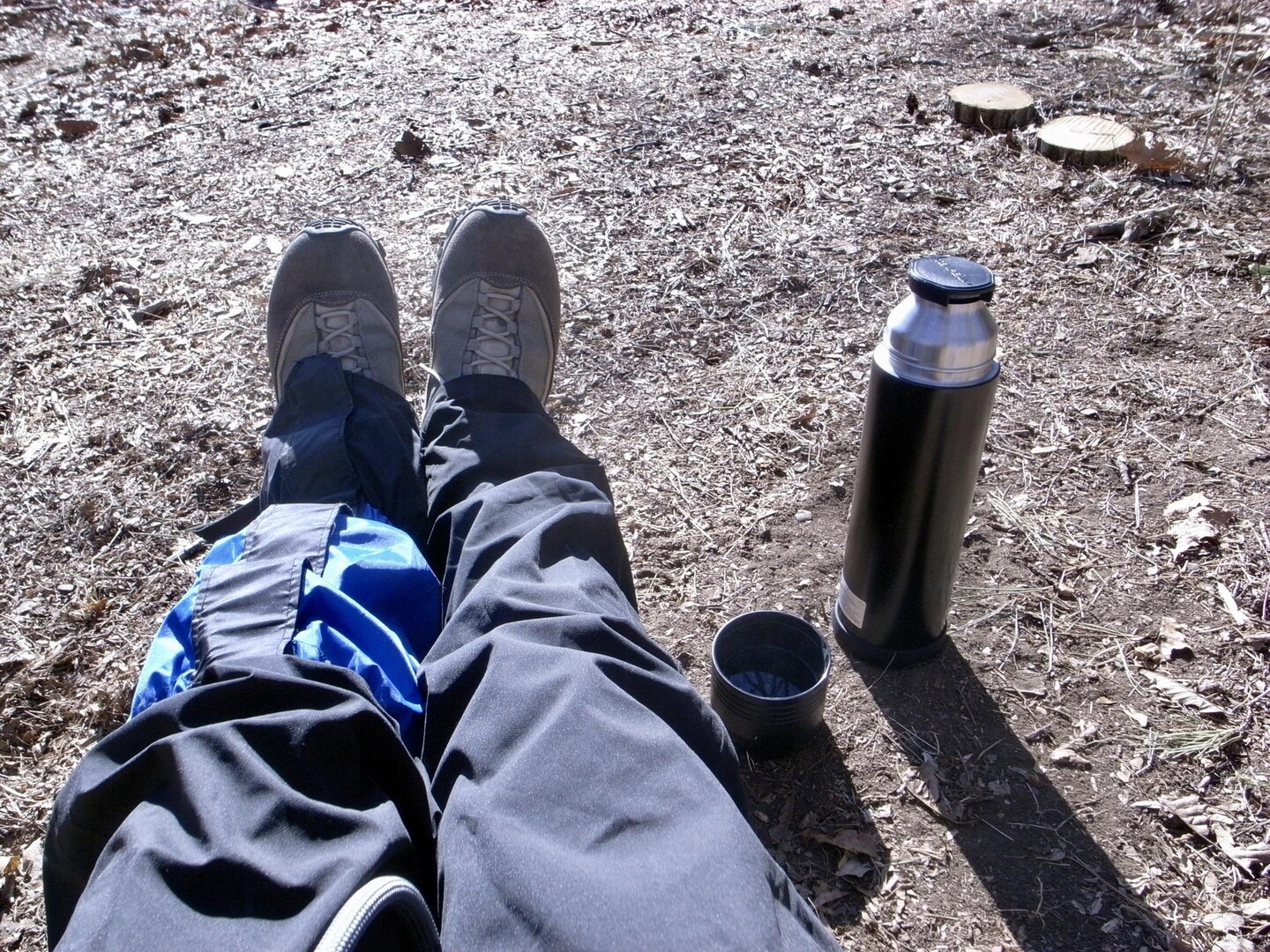 氷華はみられず💦荒倉山 / oma1173さんの鳳凰山・地蔵岳・観音岳・薬師岳の活動データ | YAMAP / ヤマップ