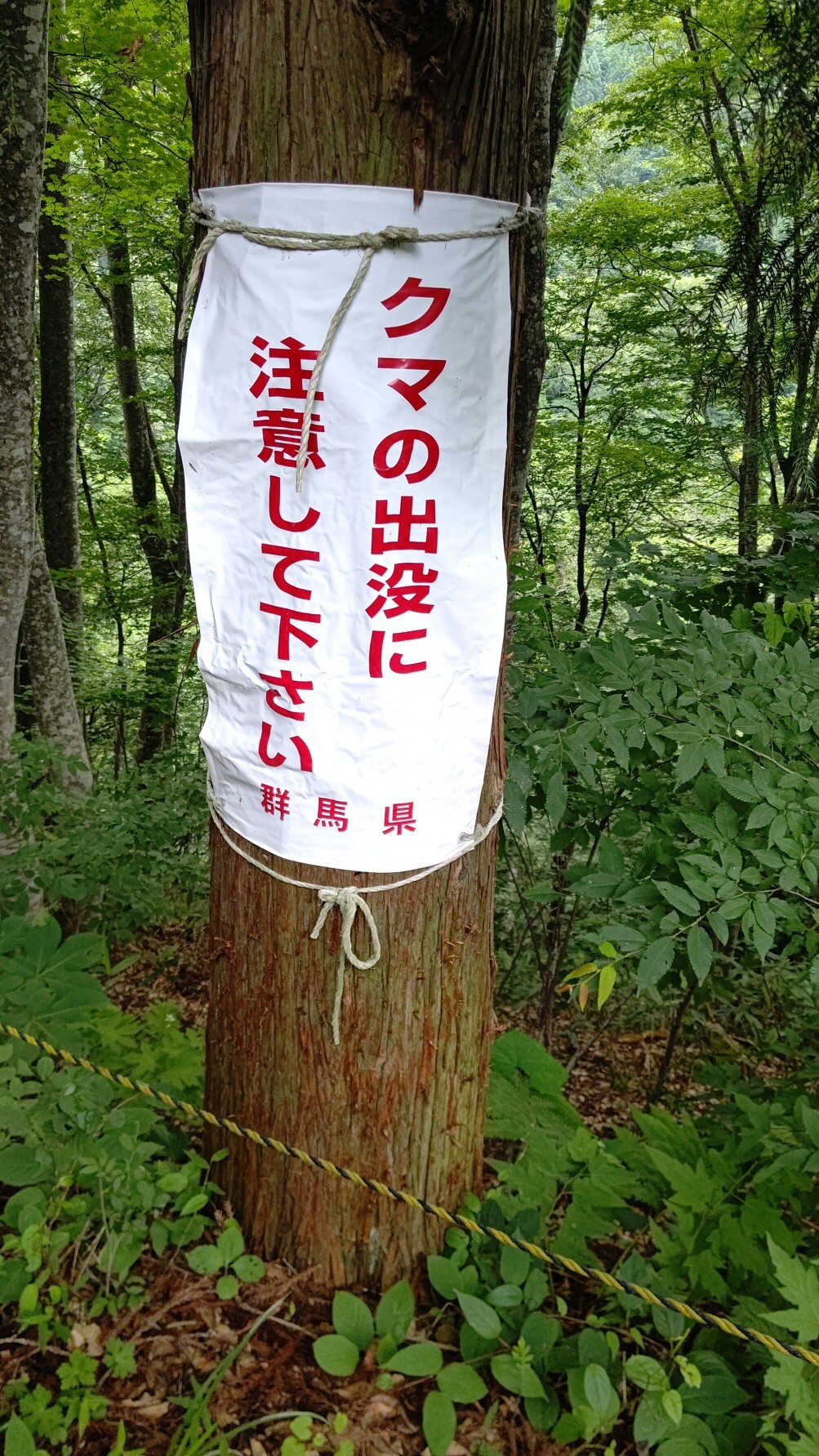 裏見の滝 https://maps.ap... / ぶんたさんのモーメント | YAMAP / ヤマップ