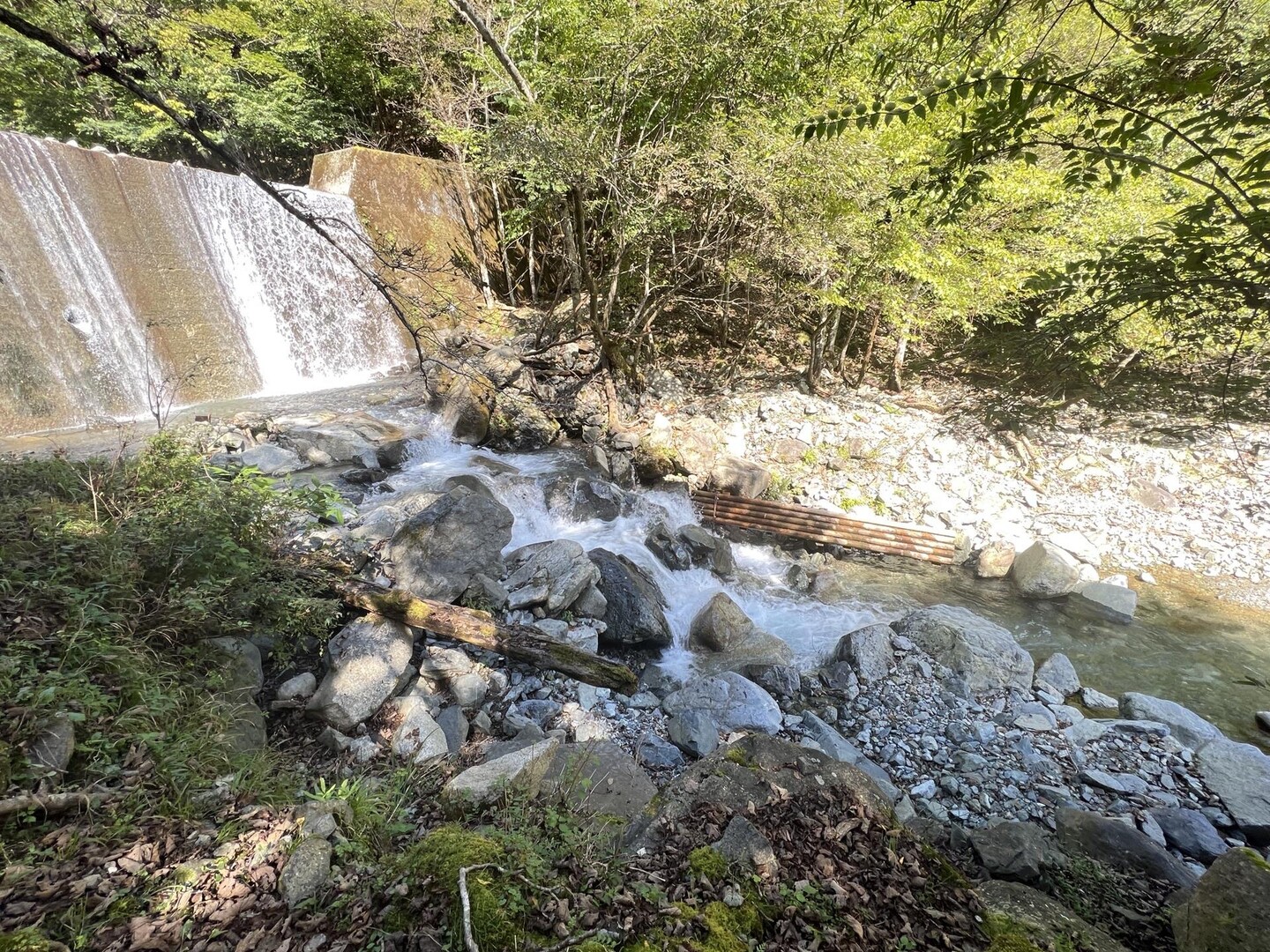 kojiさんの投稿したフィールドメモ | YAMAP / ヤマップ