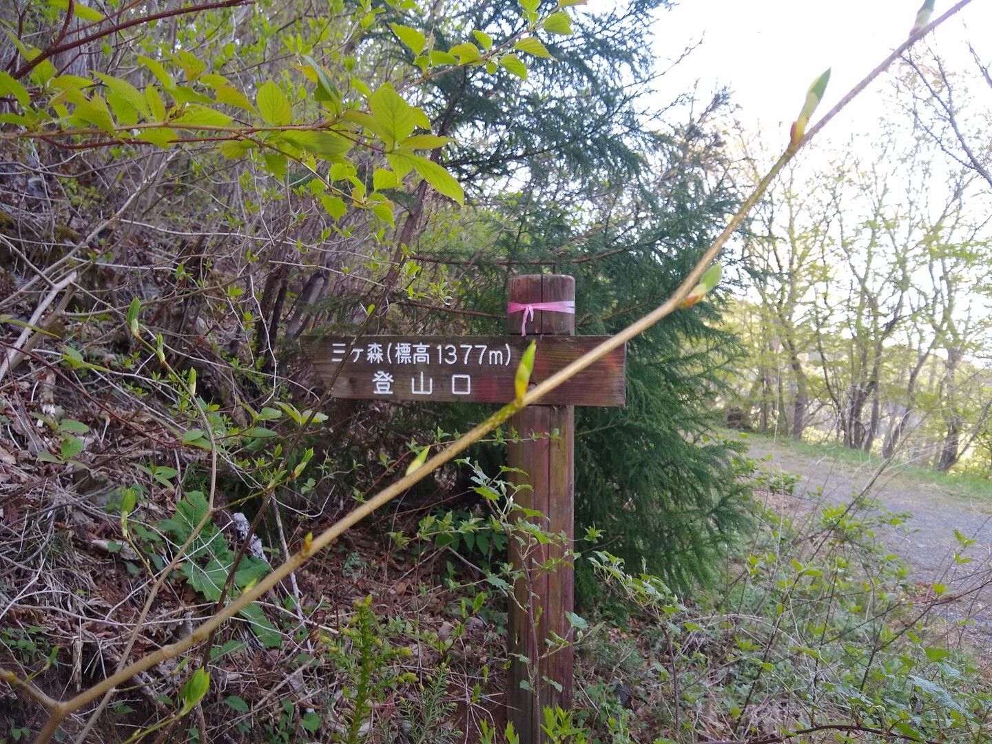 石鎚山系の山々が、とても贅沢に見える 三... / みずさんのモーメント | YAMAP / ヤマップ