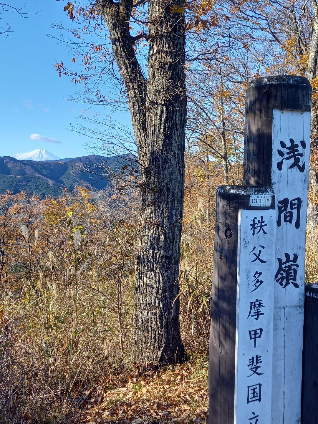 浅間嶺（小岩浅間）・入沢山・天領山・松生山・払沢ノ峰・内蔵ノ助山 / Seigoさんの浅間嶺・松生山の活動データ | YAMAP / ヤマップ