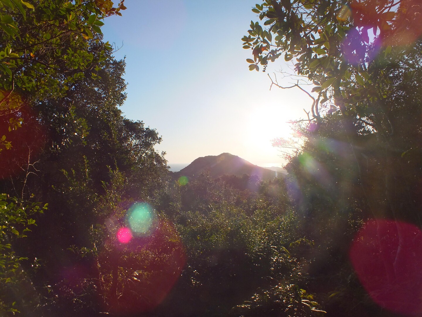 横山・迫子浅間山 / blue_39さんの横山の活動データ | YAMAP / ヤマップ
