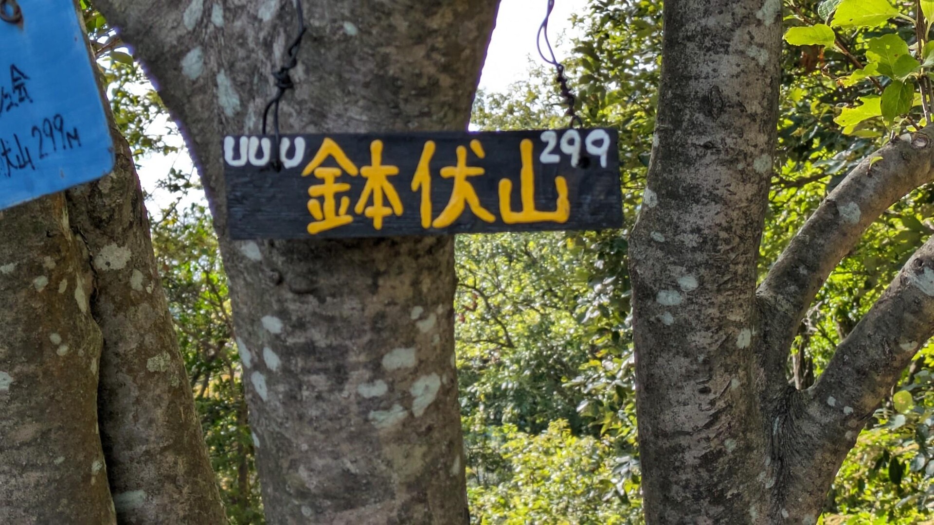 近所の鉢伏山(茨木市) / チャマさんの竜王山・阿武山の活動データ | YAMAP / ヤマップ