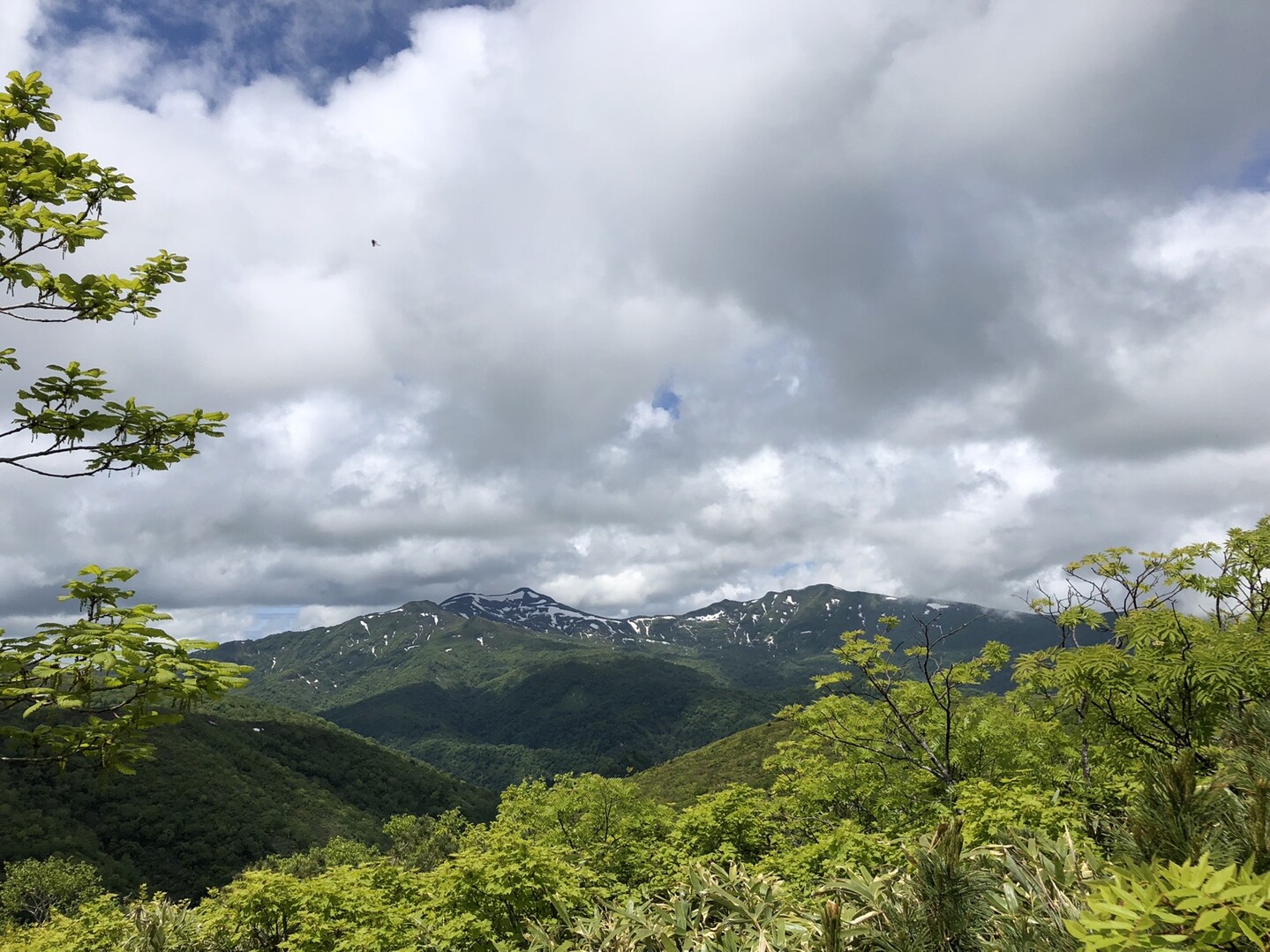 両古美山 / komeさんの積丹半島北部・積丹岳の活動日記 | YAMAP / ヤマップ