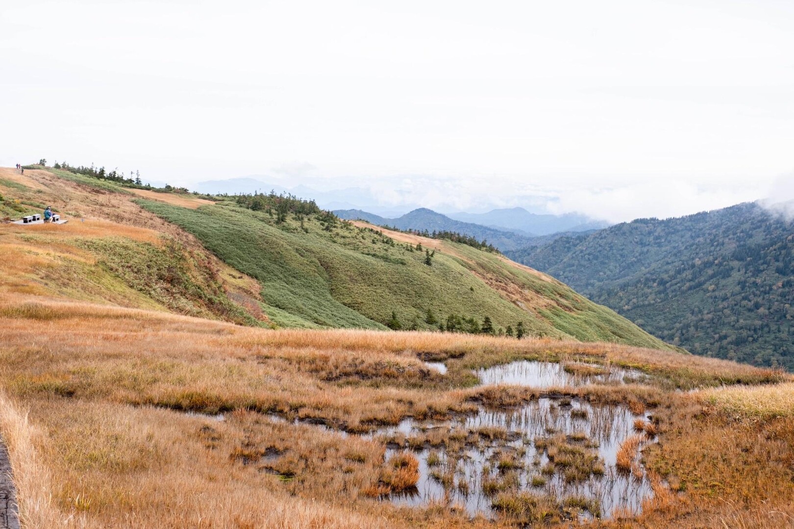 会津駒ヶ岳 / pineさんの会津駒ヶ岳の活動データ | YAMAP / ヤマップ