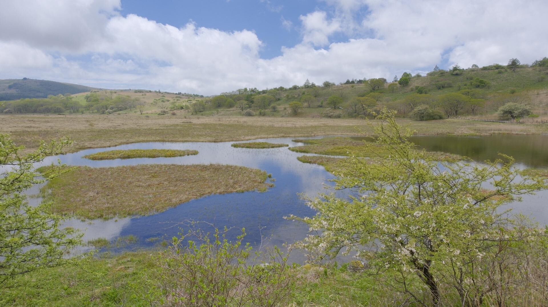 中央分水嶺トレイル 八島湿原、男女倉山・山彦山北の耳・南の耳・車山・鷲ヶ峰 / owlさんの霧ヶ峰・車山・大笹峰の活動データ | YAMAP / ヤマップ