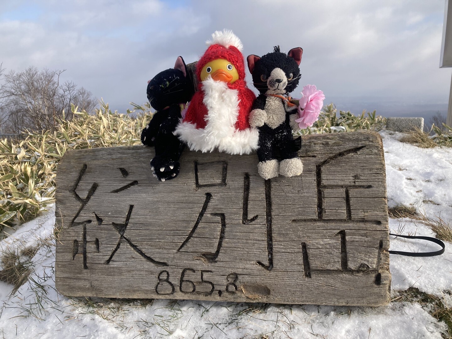 ️紋別岳⛄️ / Mt.catさんの紋別岳の活動データ | YAMAP / ヤマップ