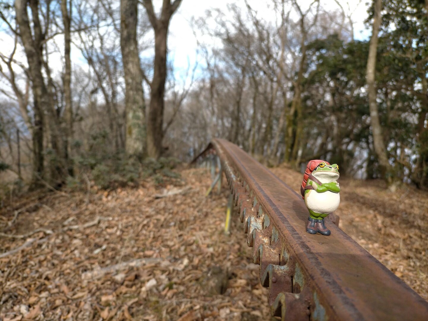 北尾根↗大山 / sasaさんの大山の活動データ | YAMAP / ヤマップ