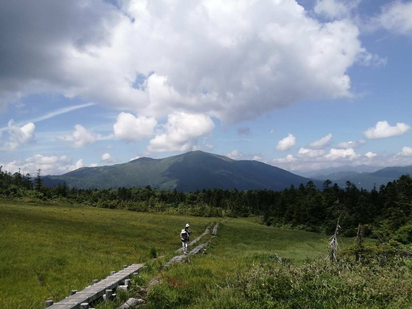 アヤメ平・至仏山2Days / ellena15さんの尾瀬・至仏山・悪沢岳・笠ヶ岳の活動データ | YAMAP / ヤマップ