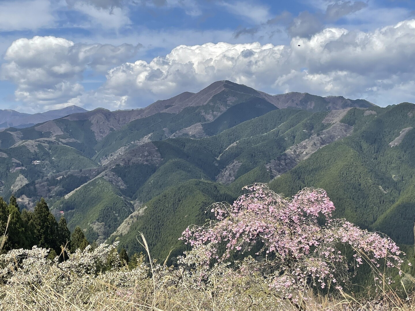 東京の檜原村“浅間嶺展望台”からの眺め ... / ともさんのモーメント | YAMAP / ヤマップ