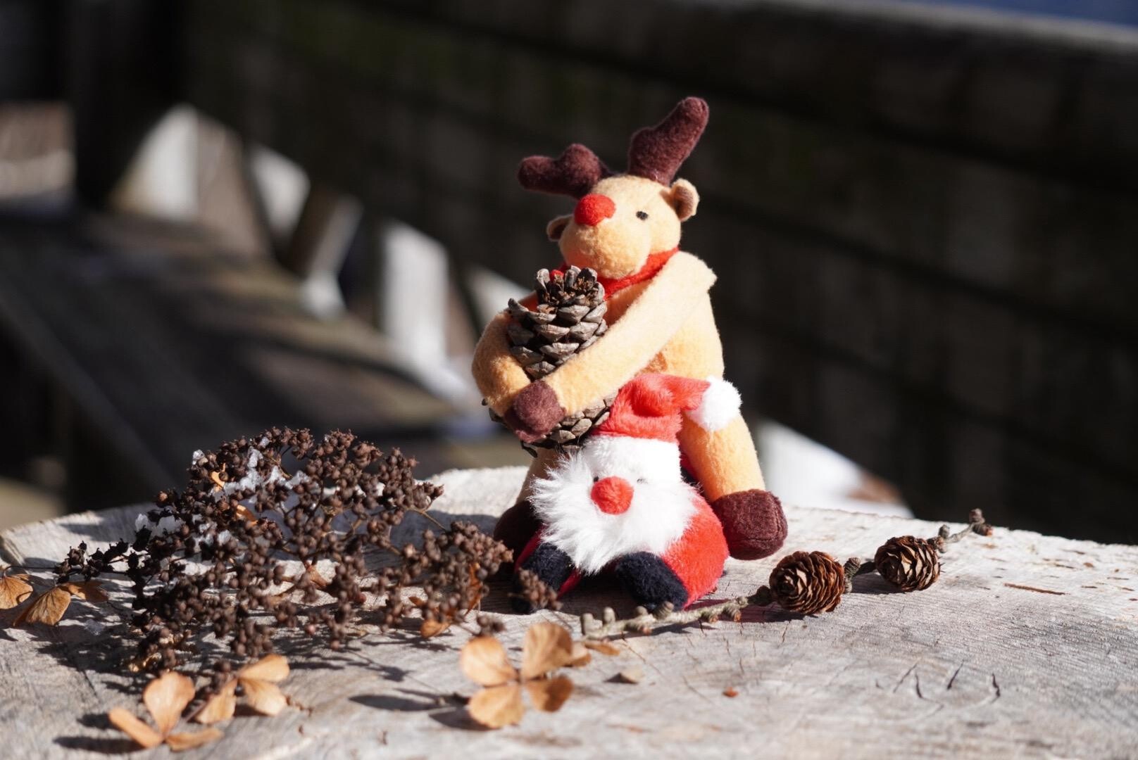 Xmasは寧比曽岳🎄 / ぐりん。さんの寧比曽岳・筈ヶ岳・出来山の活動データ | YAMAP / ヤマップ