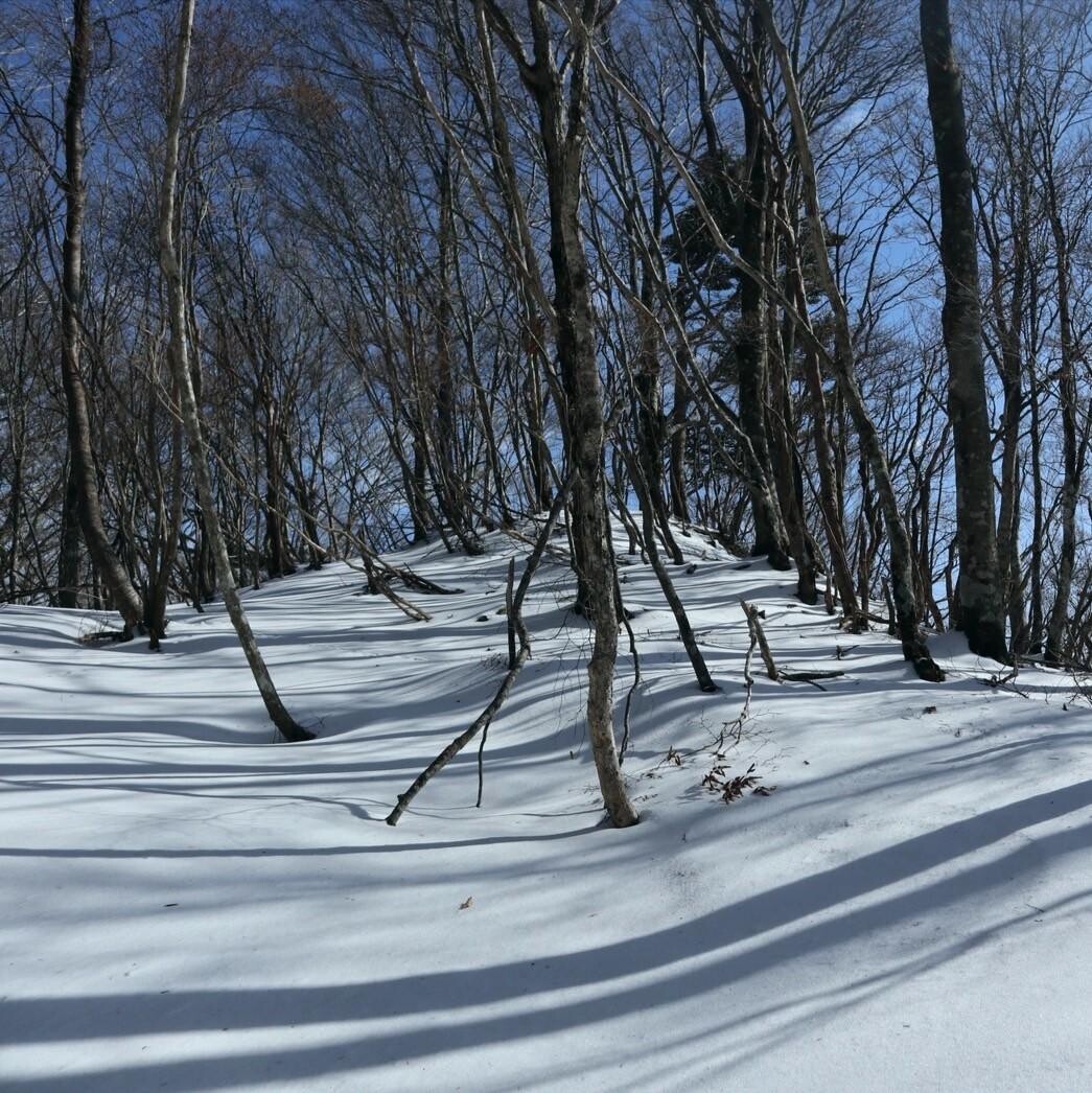春山のような火打山・風呂塔 / ta.hayaさんの矢筈山・黒笠山の活動データ | YAMAP / ヤマップ