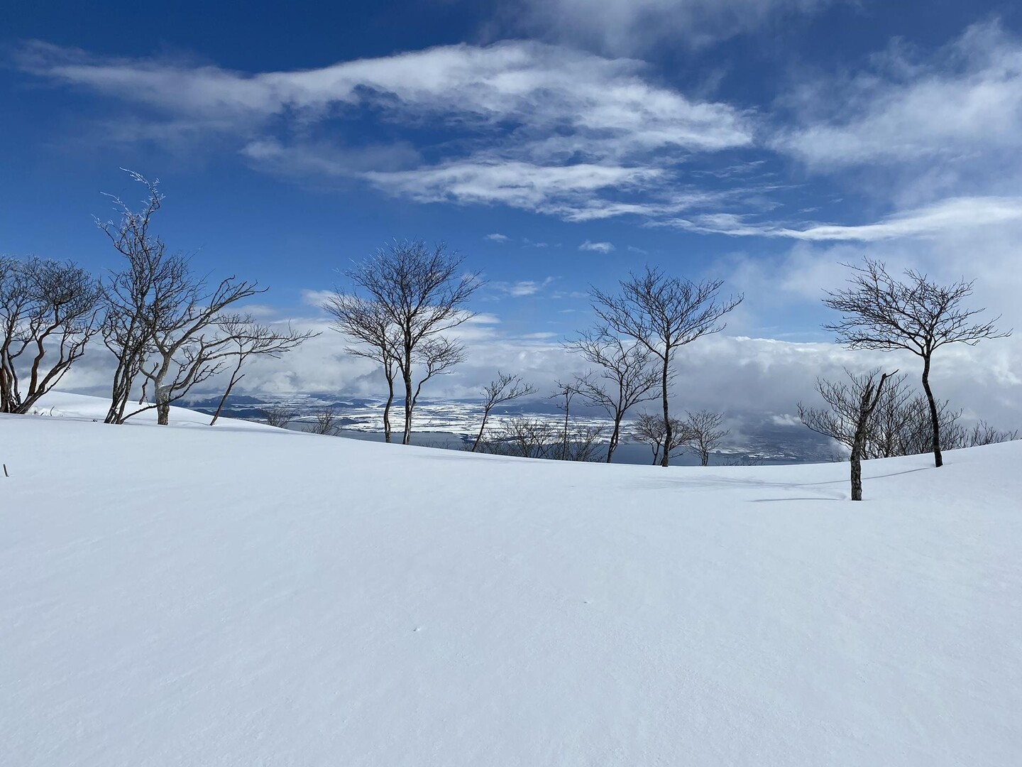 蓬莱山・打見山 / matazoさんの比良山地・武奈ヶ岳・釈迦岳の活動データ | YAMAP / ヤマップ