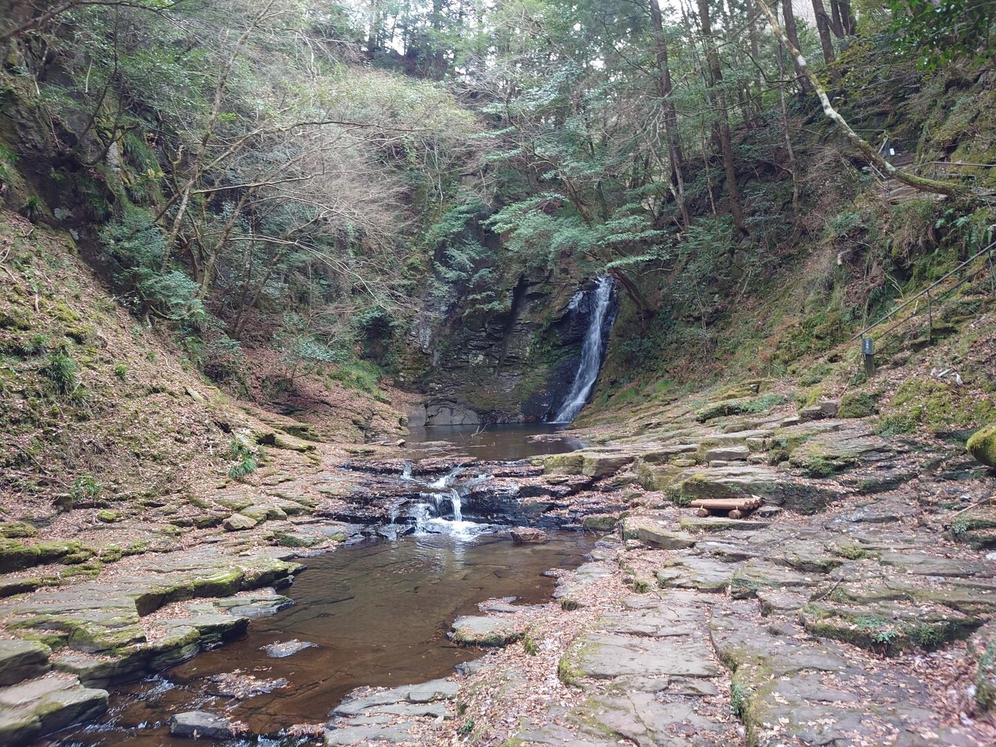 長坂山・赤目四十八滝-2023-12-25 / daigo777さんの長坂山・赤目四十八滝の活動データ | YAMAP / ヤマップ