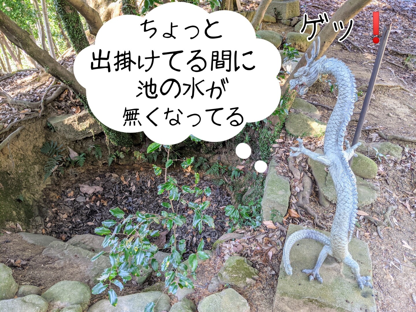 白山神社の白龍さんが、呟いたww ｡ﾟ(... / atommamaさんのモーメント | YAMAP / ヤマップ