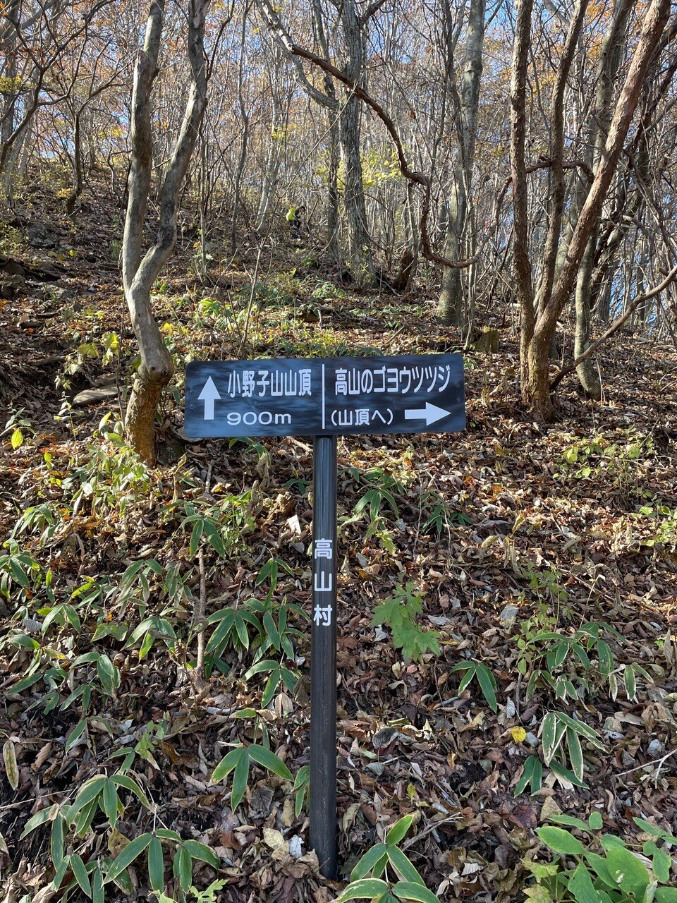 Ayaka☪︎⋆｡˚ さんの投稿したフィールドメモ | YAMAP / ヤマップ