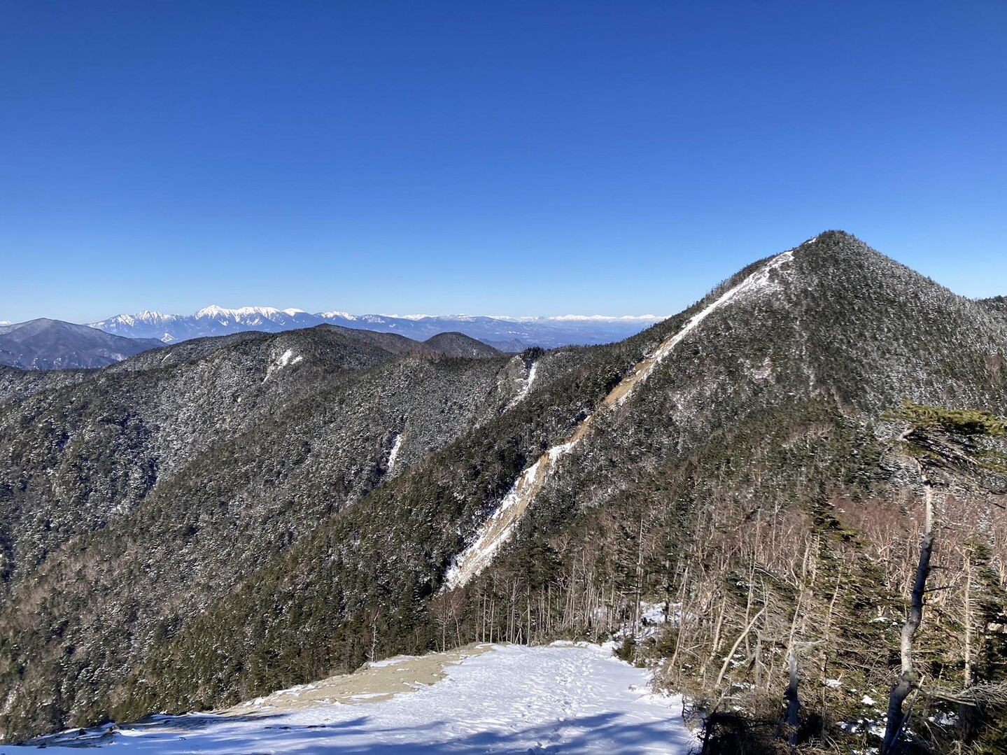 木賊山・甲武信ヶ岳 / mitsuさんの甲武信ヶ岳の活動データ | YAMAP / ヤマップ