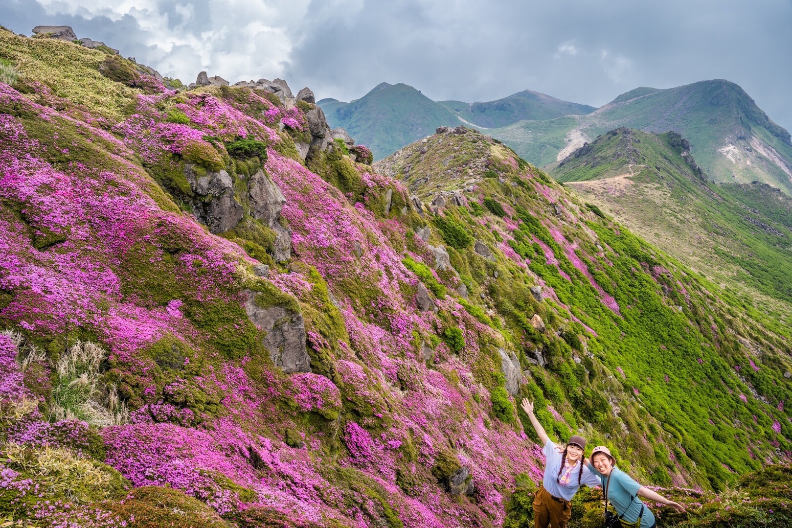 大満開🌸星生山⭐︎⭐︎⭐︎ / SHIORIさんの九重山（久住山）・大船山・星生山の活動データ | YAMAP / ヤマップ