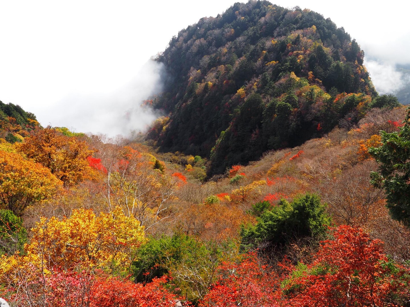 両神山（日向大谷コース）241027 / nakakoさんの両神山・諏訪山・二子山の活動データ | YAMAP / ヤマップ