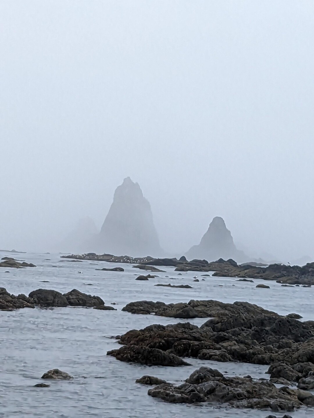 襟裳岬GT3 15-2023-07-30 / コズさんのGT3 15の活動データ | YAMAP / ヤマップ