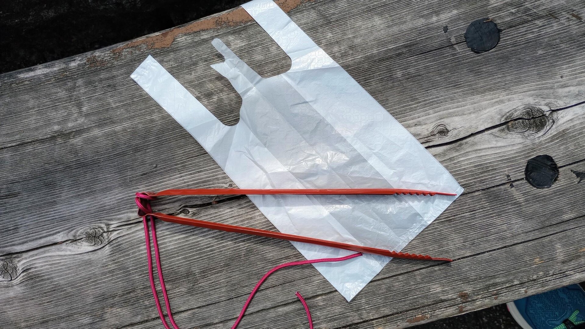 山に いいことしようDAY🚯 / emiyさんの生駒山・神津嶽・大原山の活動データ | YAMAP / ヤマップ