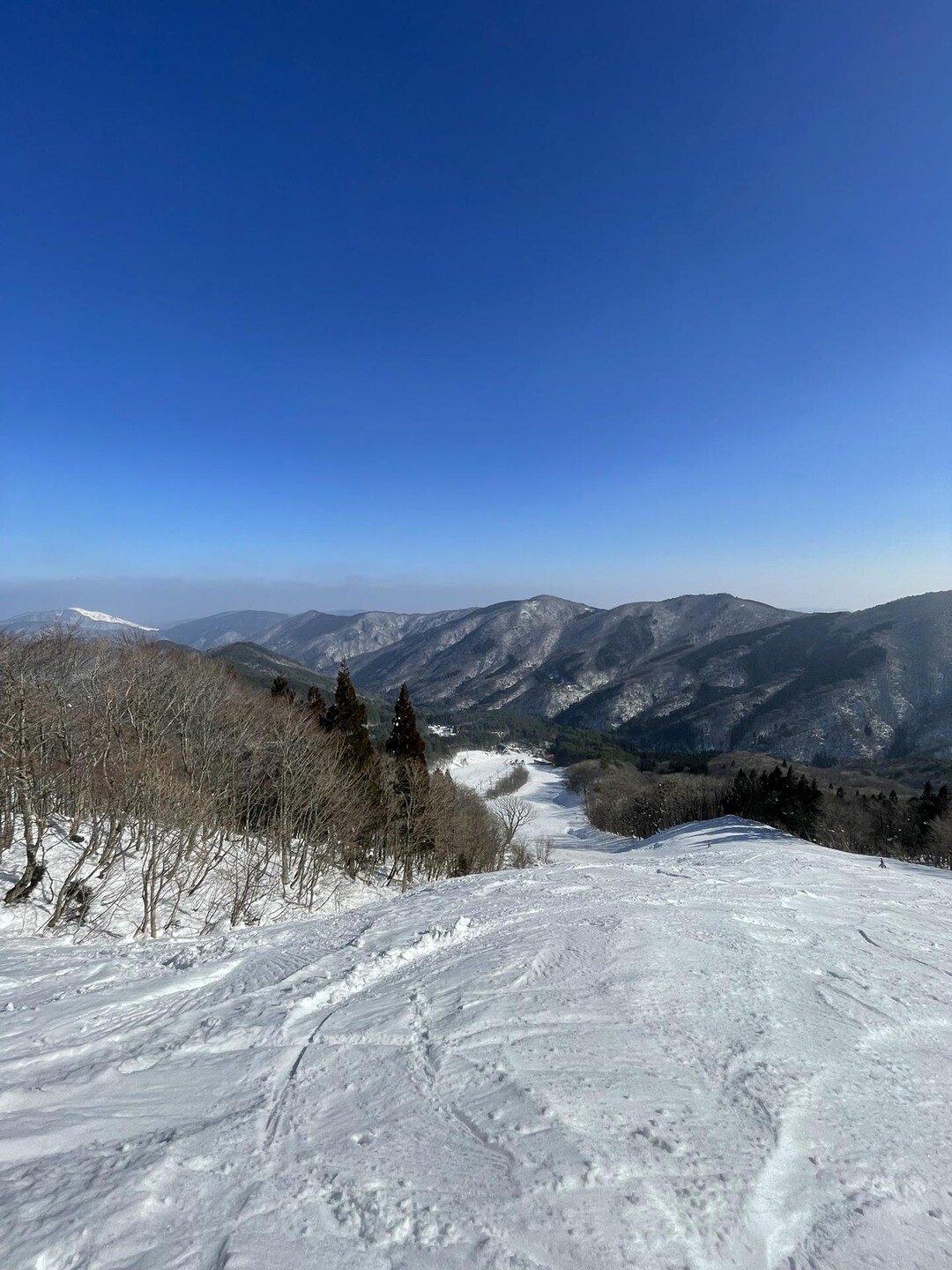 【オソラブルー】 今日は見事なオソラブル... / Nockyさんのモーメント | YAMAP / ヤマップ