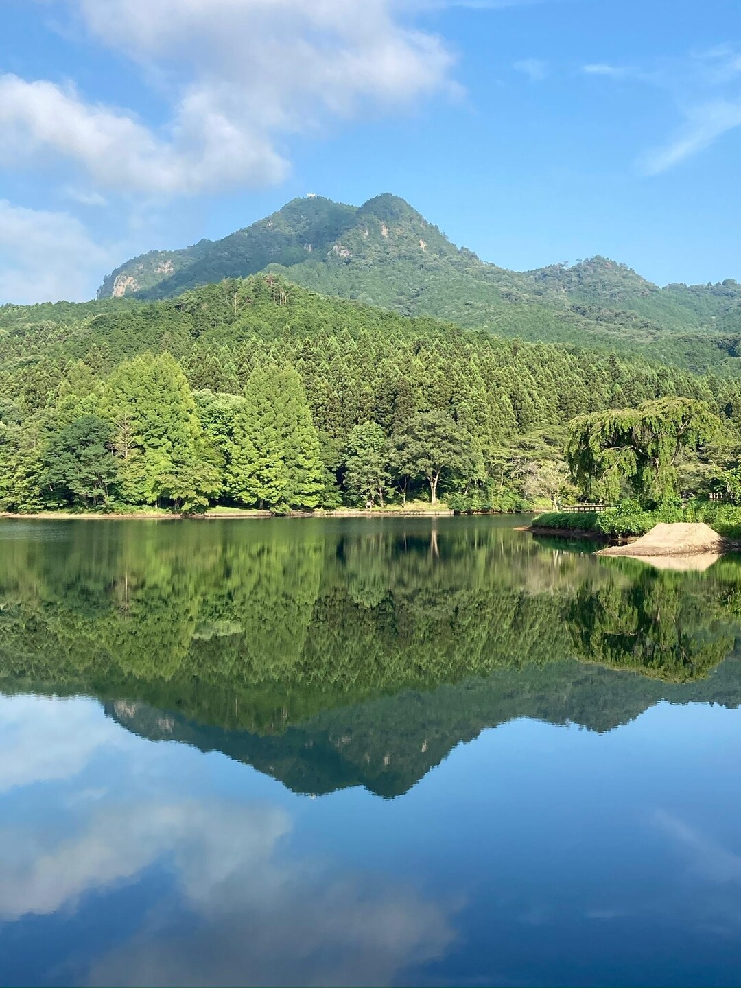 古賀志山(中尾根コース) / jazzさんの古賀志山・赤岩山・鞍掛山・男抱山・半蔵山の活動データ | YAMAP / ヤマップ