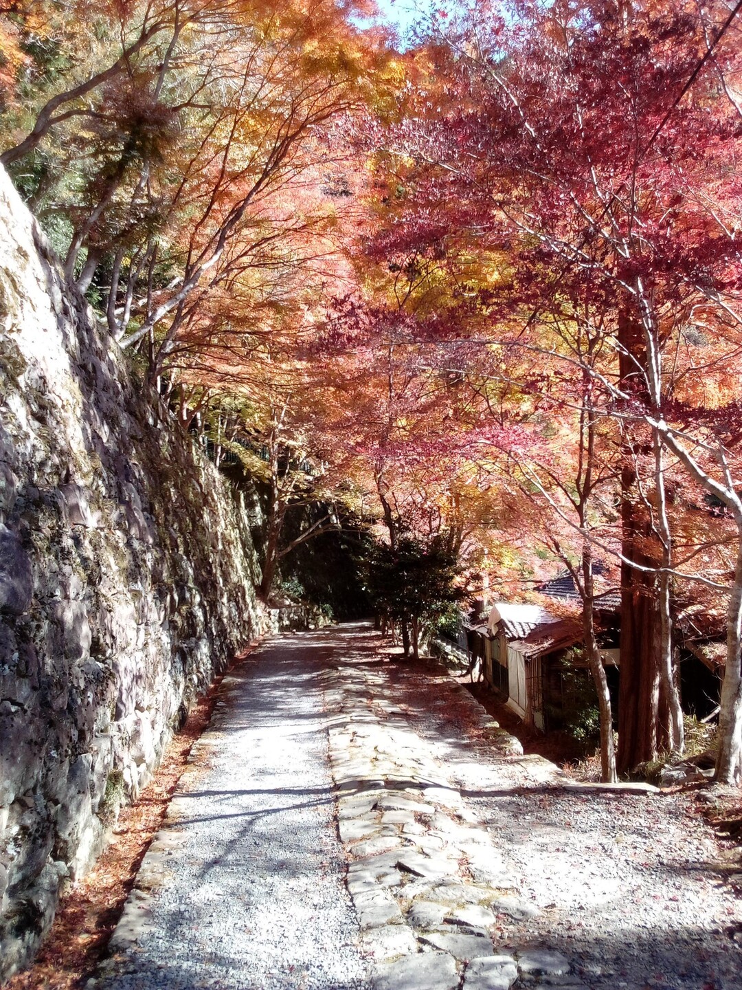 鳳来寺山・瑠璃山 / f-muraさんの宇連山・鳳来寺山・岩古谷山の活動データ | YAMAP / ヤマップ