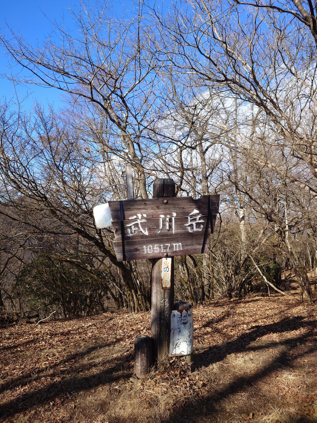 《奥武蔵》武川岳から横瀬二子山まで縦走 / nazさんの武甲山・伊豆ヶ岳・小持山の活動データ | YAMAP / ヤマップ