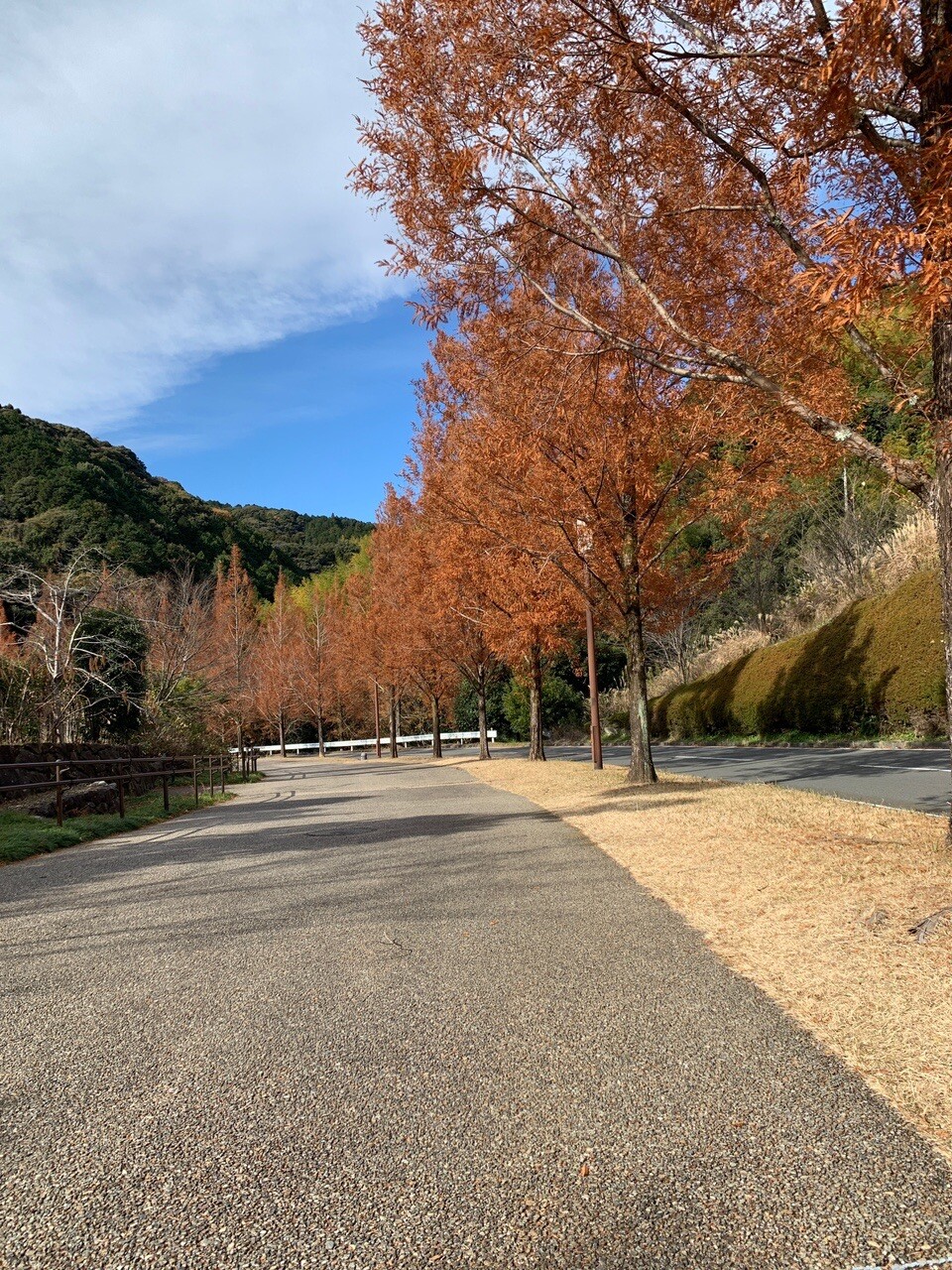 TA.NAさんの投稿したフィールドメモ | YAMAP / ヤマップ