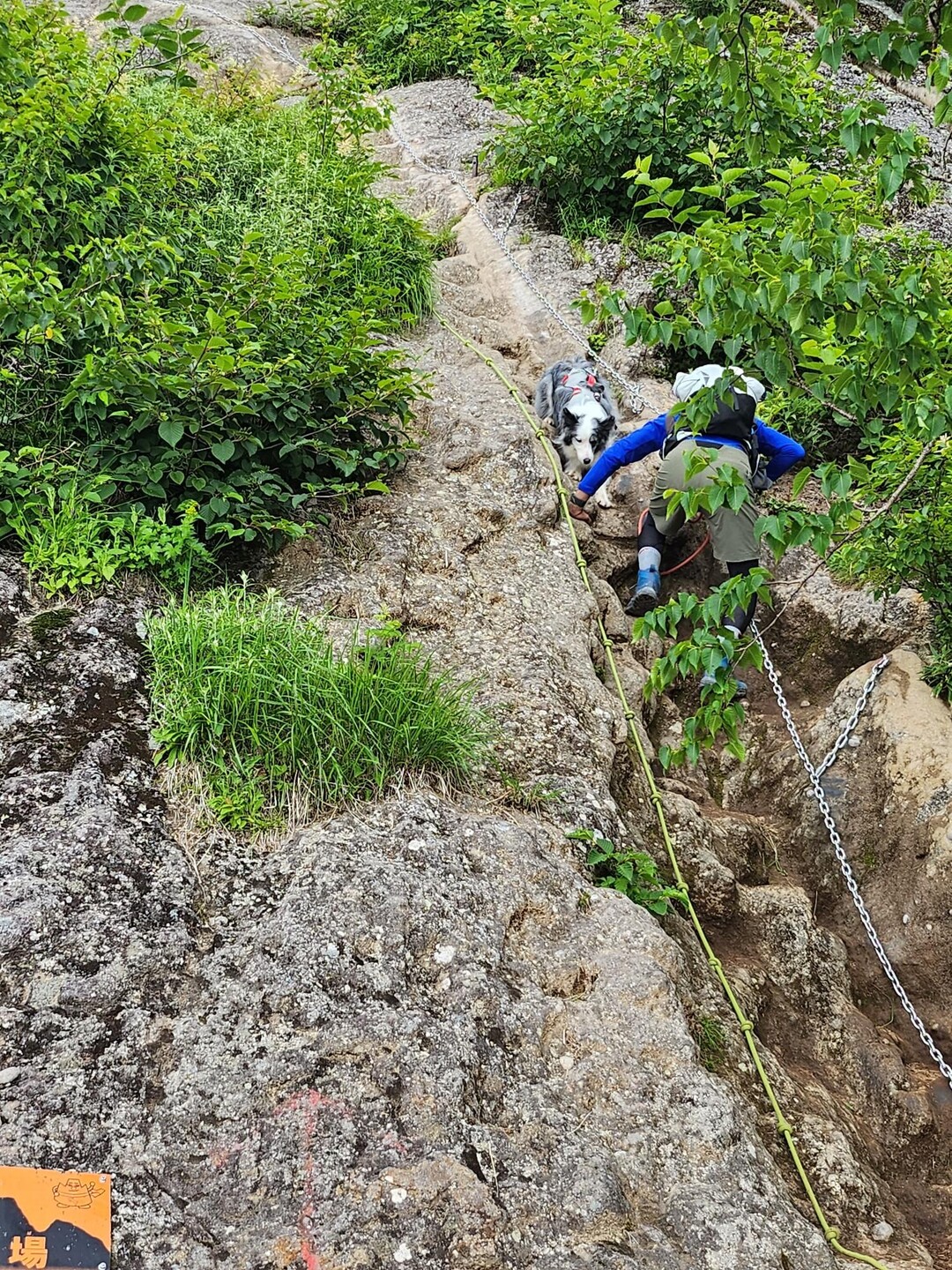 妙高山 忍者犬 / MMさんの妙高山・火打山の活動データ | YAMAP / ヤマップ