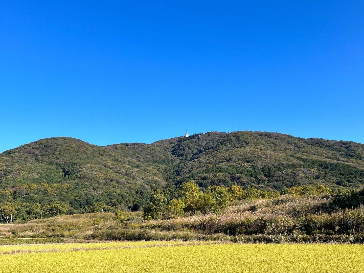 宝篋山・尖浅間山・富岡山 / tottuanさんの宝篋山・富岡山の活動データ | YAMAP / ヤマップ
