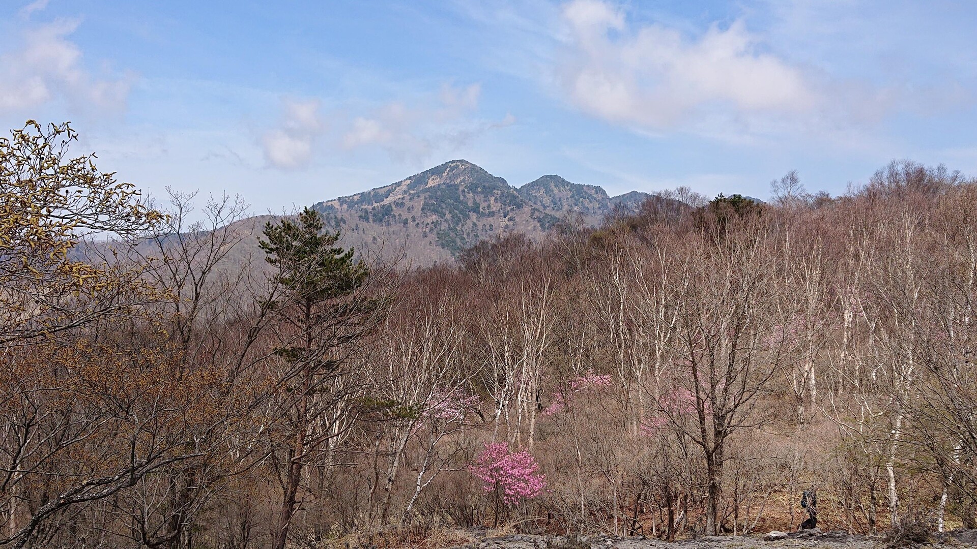 袈裟丸山 / tmykさんの赤城山・黒檜山・荒山の活動データ | YAMAP / ヤマップ