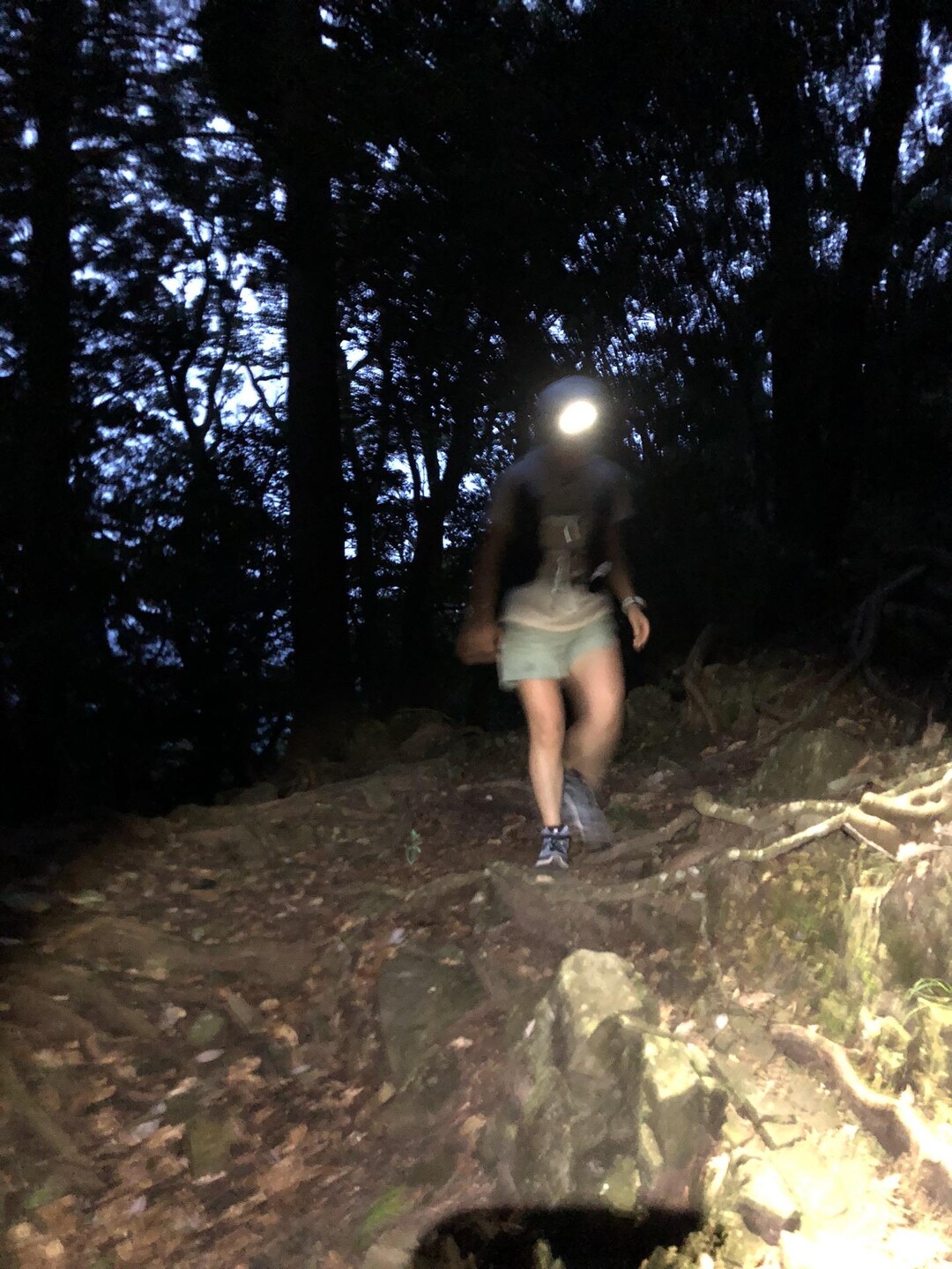 ASK🏃‍♂️本宮山⛰️126 tot334 / スカじいさんの本宮山・大日山・風頭山の活動データ | YAMAP / ヤマップ