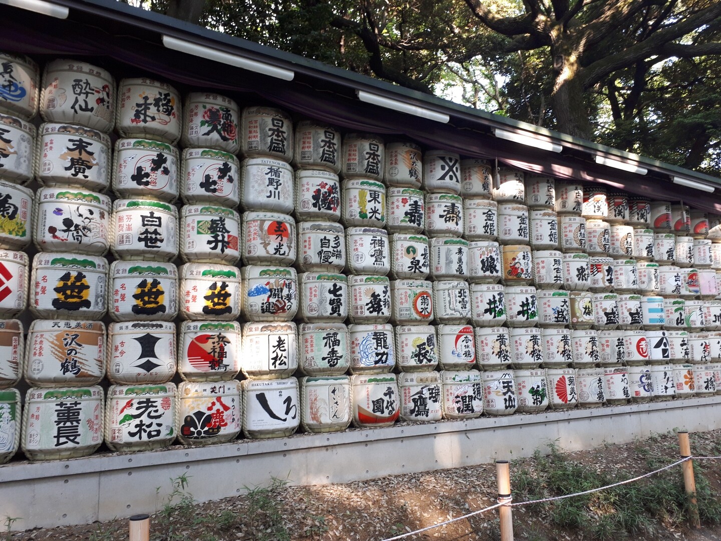 東京都23区 西エリア-2019-05-16 / SAKOさんの東京都23区 西エリアの活動日記 | YAMAP / ヤマップ