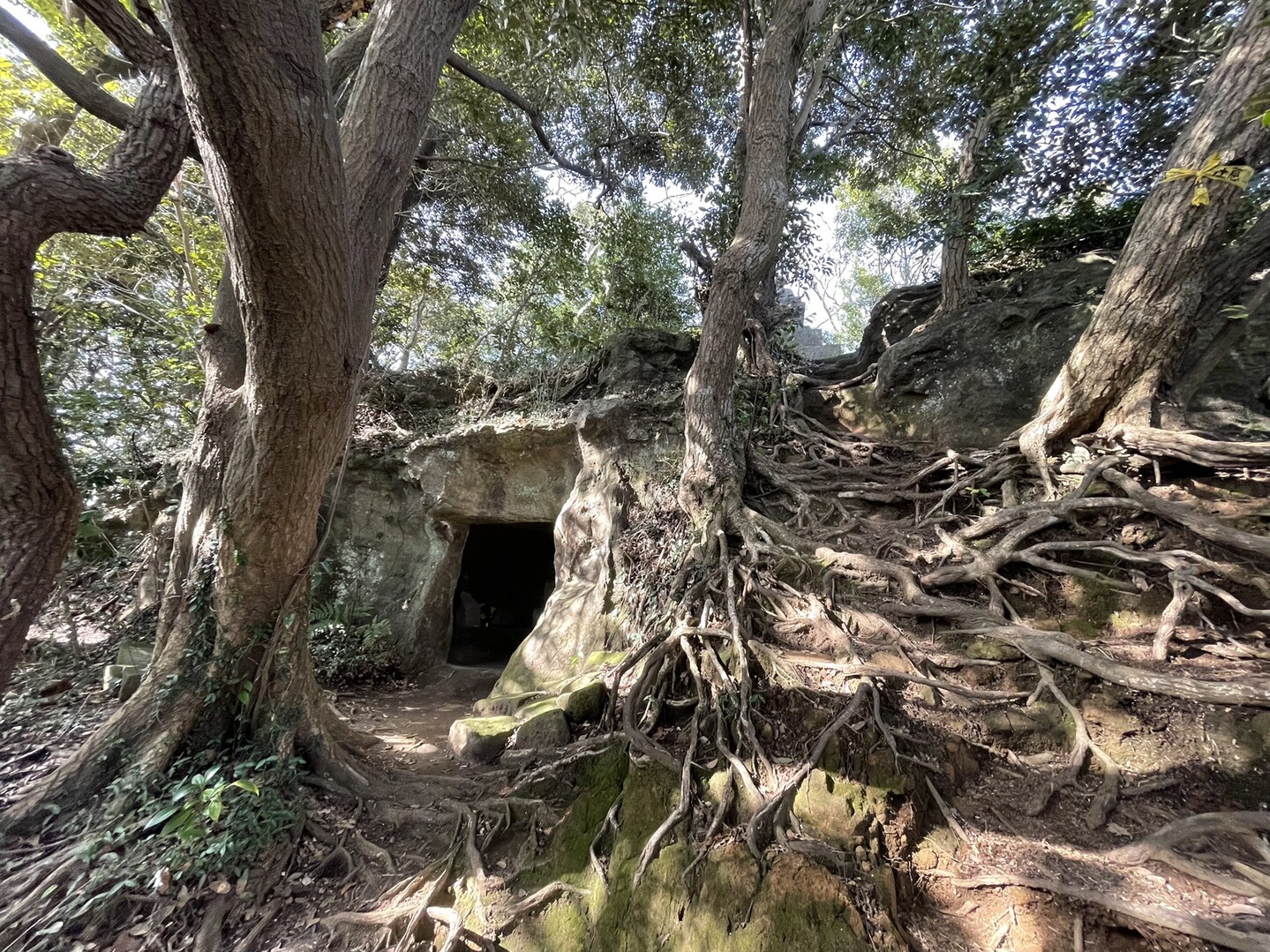 勝上山・鷲峰山・大平山 鎌倉アルプス！ / syo-taさんの鎌倉アルプス（大平山・天台山）の活動データ | YAMAP / ヤマップ