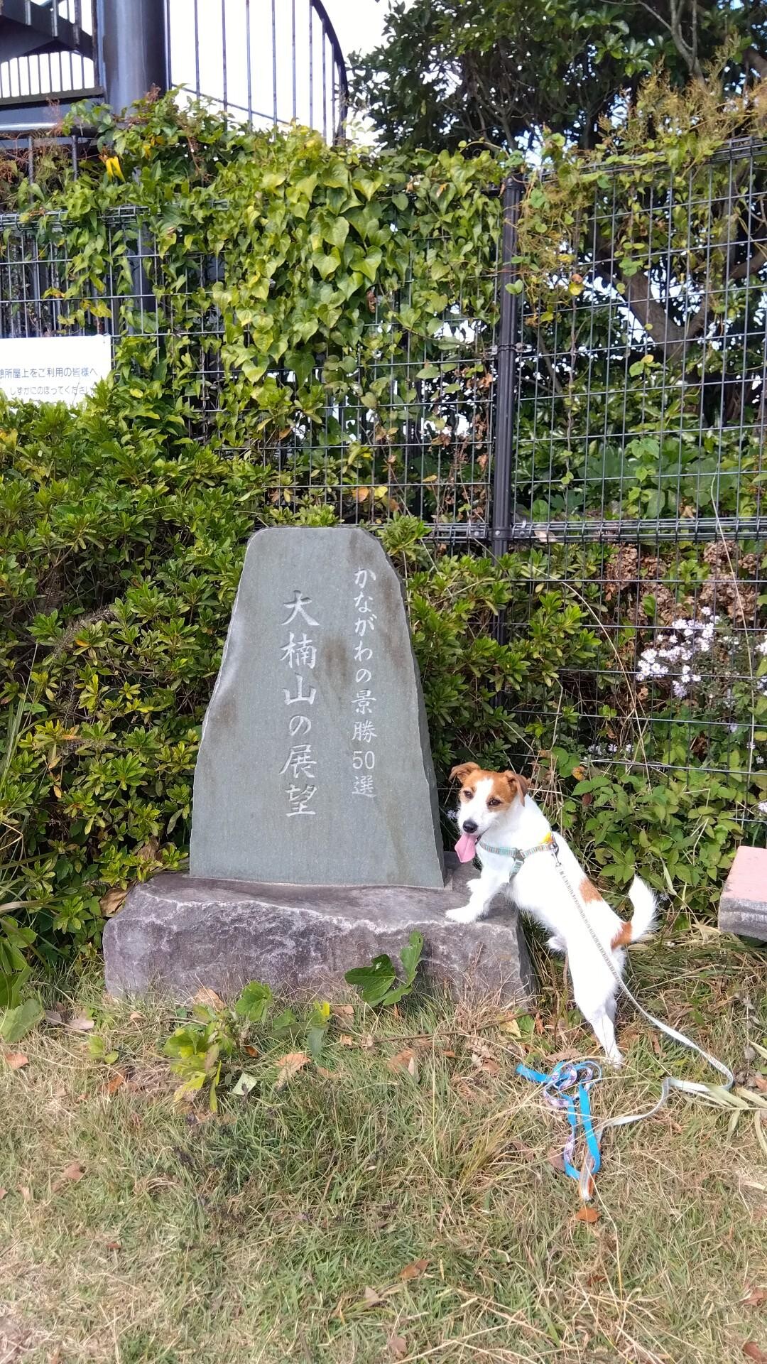 New Shoesお試し大楠山お山歩👟 / Veenaさんの大楠山・武山・三浦富士の活動データ | YAMAP / ヤマップ