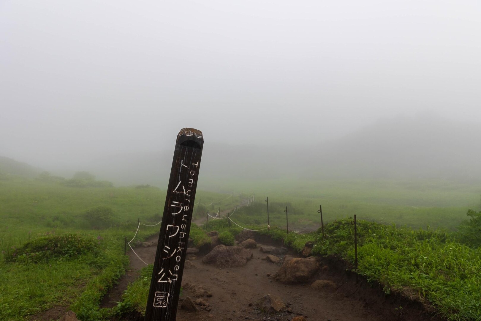 トムラウシ山 2024-07-23 / takeさんのGT3 2の活動データ | YAMAP / ヤマップ